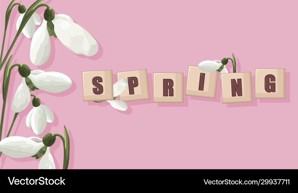 Spring purple banner with white snowdrops Vector Image