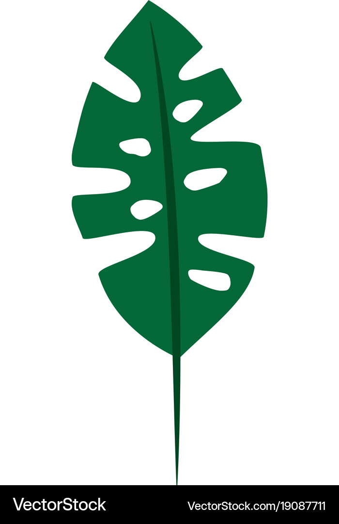 Tropical leaf plant natural wild botanical Vector Image