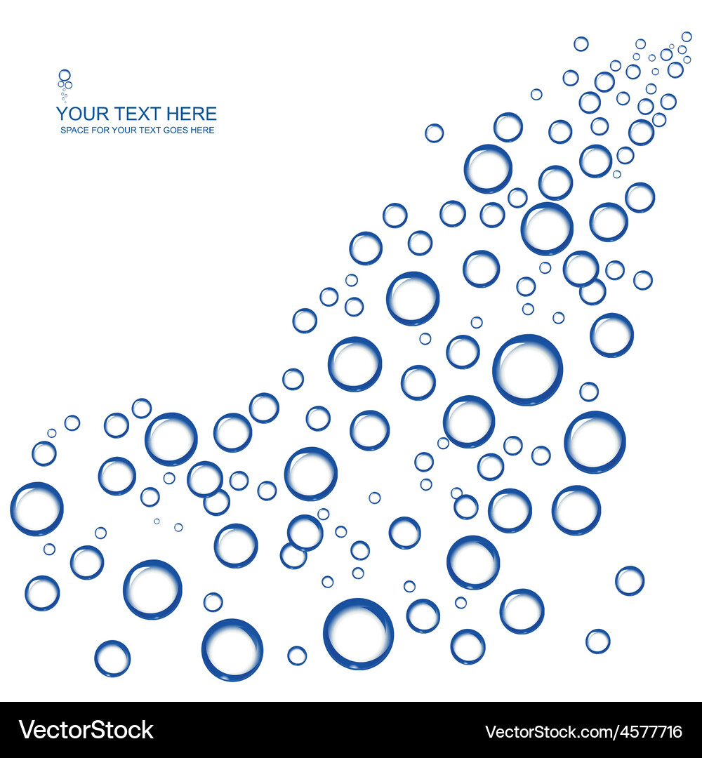 Floating Soap Bubbles Royalty Free Vector Image