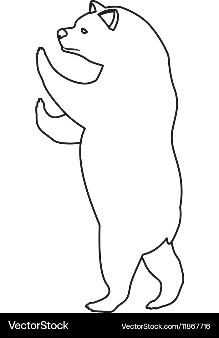Isolated bear animal design Royalty Free Vector Image