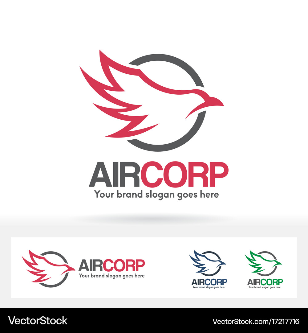 Modern Airplane Logo Royalty Free Vector Image