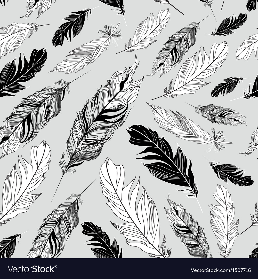 Pattern feathers Royalty Free Vector Image - VectorStock