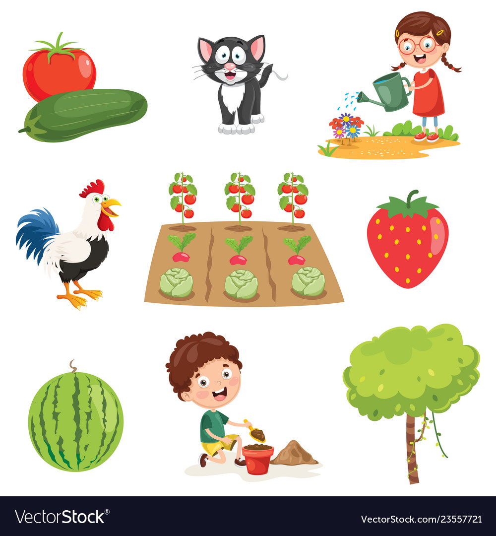 Farm things Royalty Free Vector Image - VectorStock