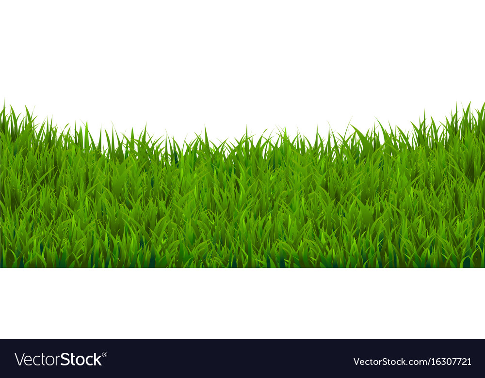 Grass Royalty Free Vector Image - VectorStock