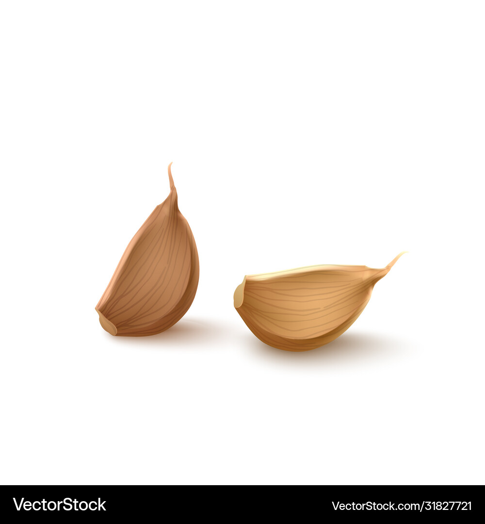 Photorealistic 3d garlic cloves closeup view Vector Image