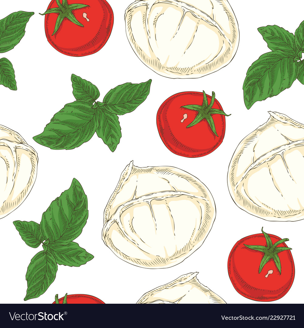 Seamless pattern mozzarella tomatoes and basil Vector Image