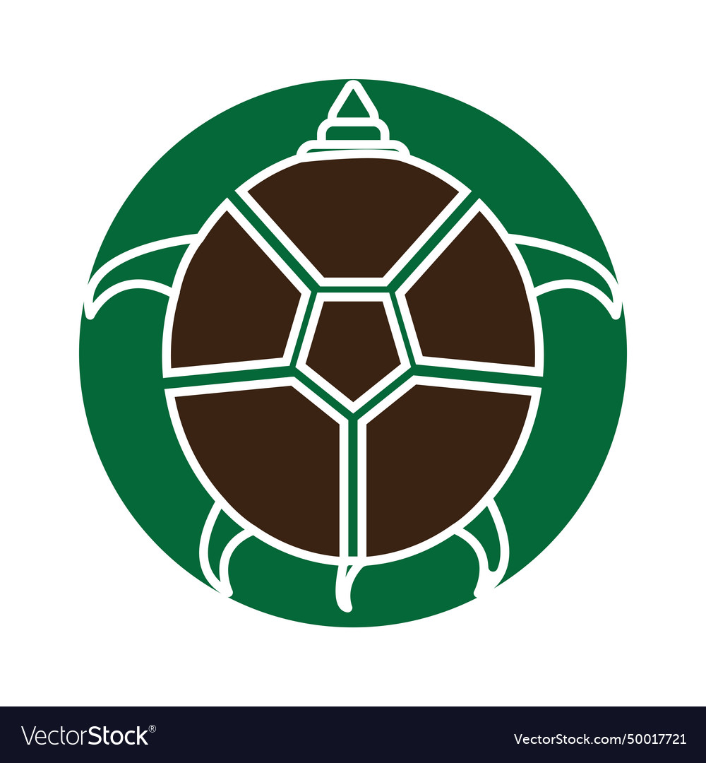 Turtle icon Royalty Free Vector Image - VectorStock