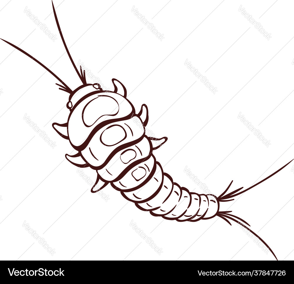 Cute cartoon silverfish a bathroom pest macro Vector Image