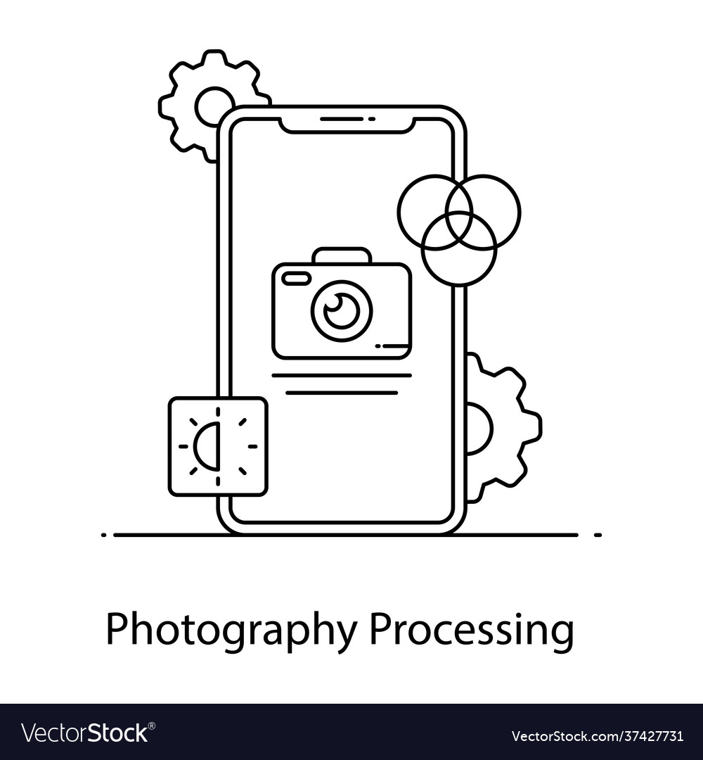 Photography processing Royalty Free Vector Image