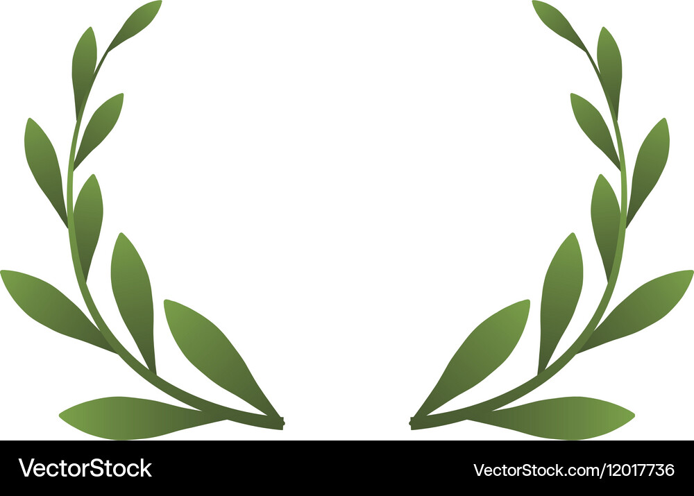 Decorative wreath of leaves Royalty Free Vector Image