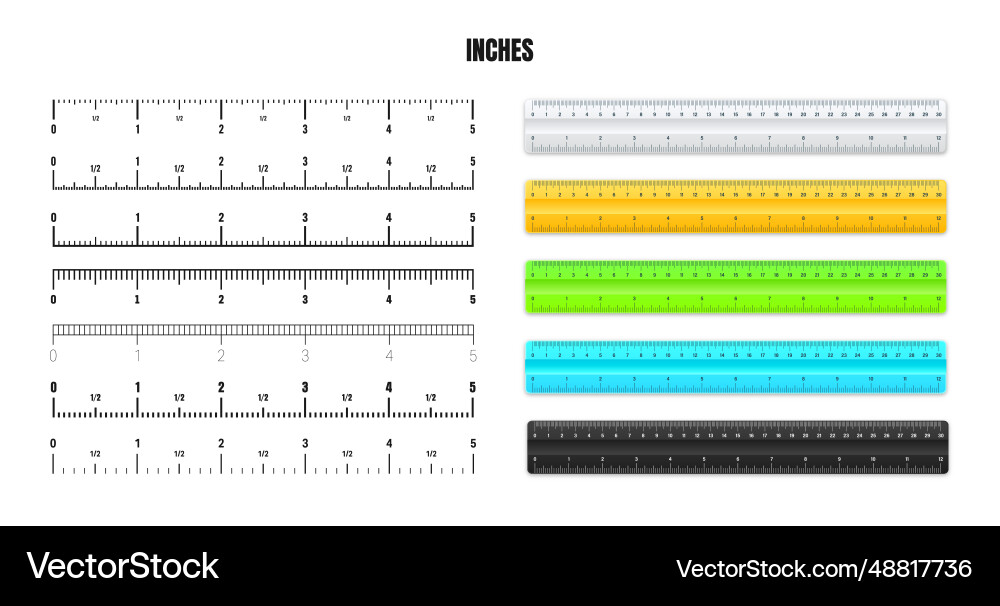 Realistic plastic rulers with black inch scale for