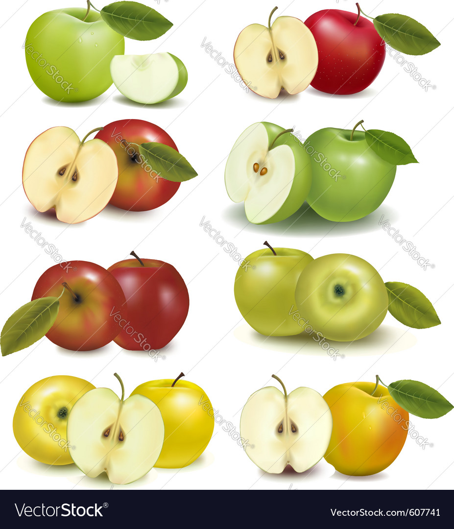 Apples Royalty Free Vector Image - VectorStock