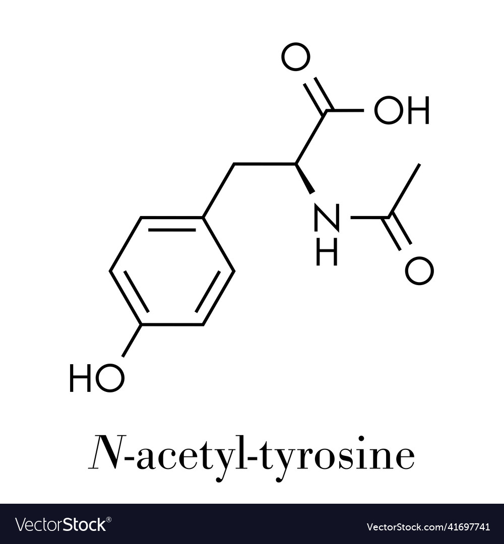 N-acetyl-tyrosine nalt molecule acetylated form Vector Image