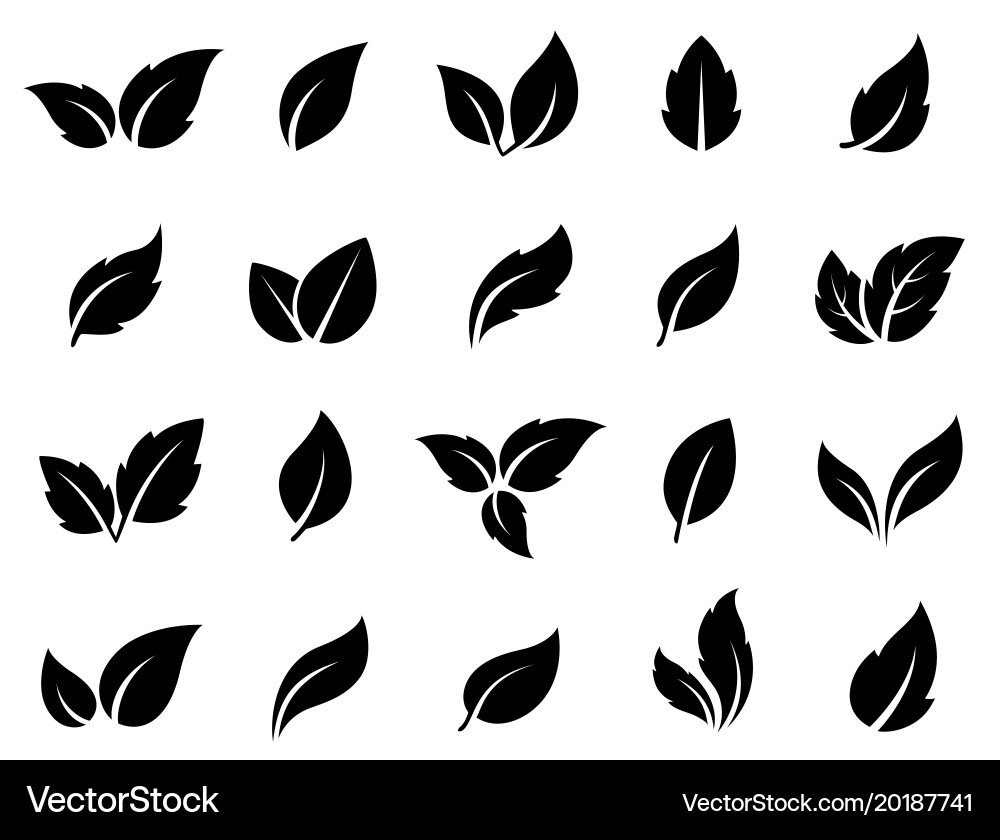Set of green leaves Royalty Free Vector Image - VectorStock