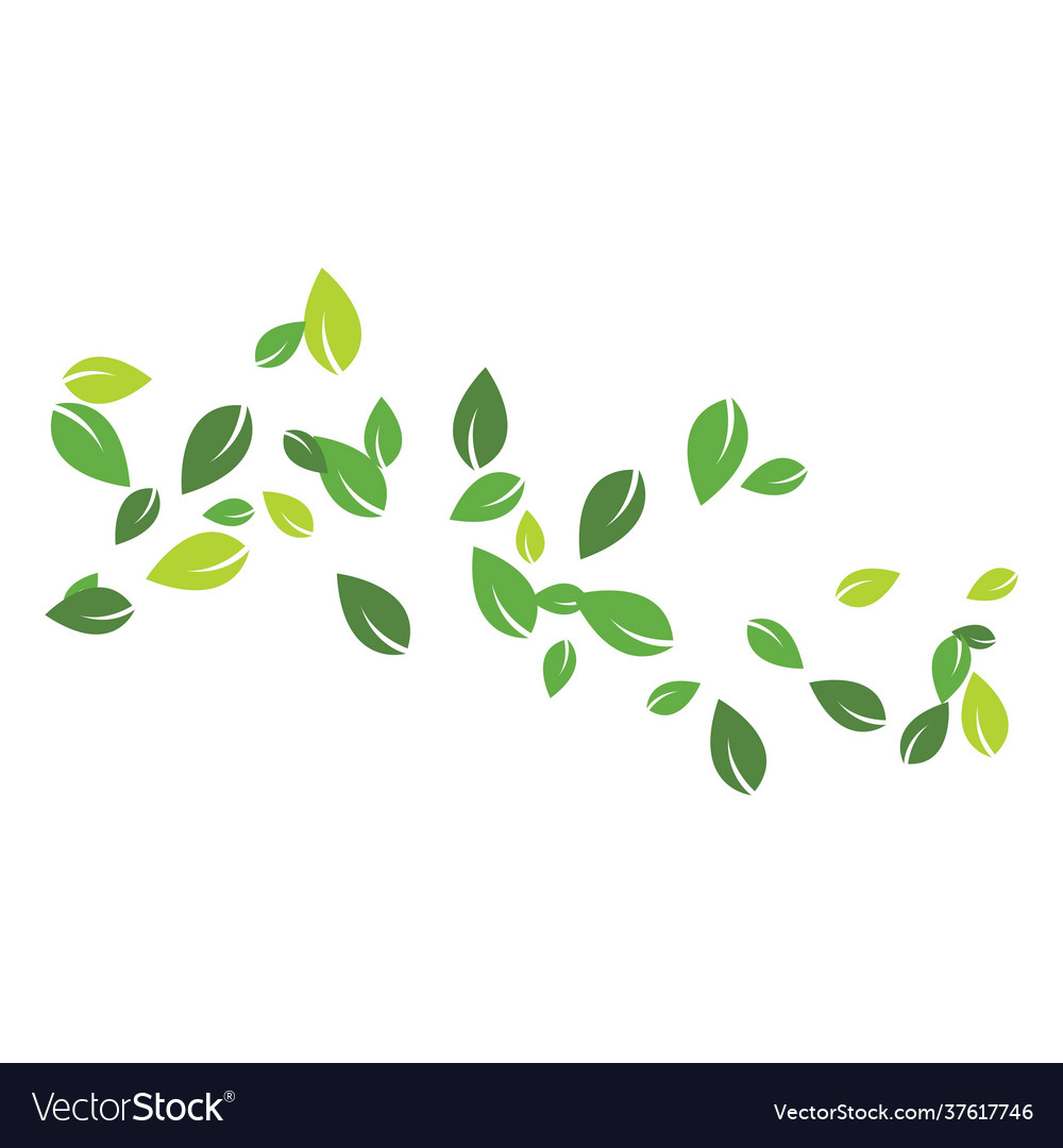 Leaves fall Royalty Free Vector Image - VectorStock