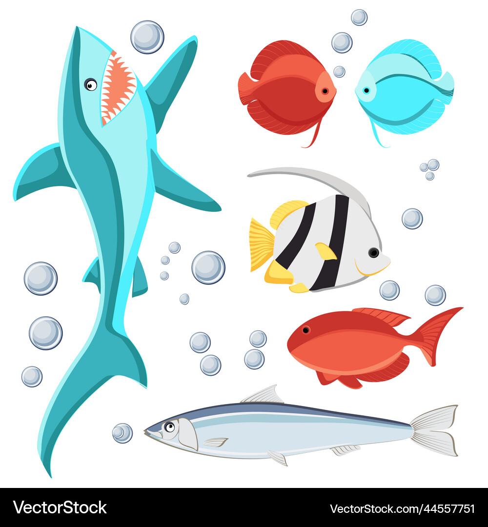 Cartoon style fish and water bubbles shark Vector Image