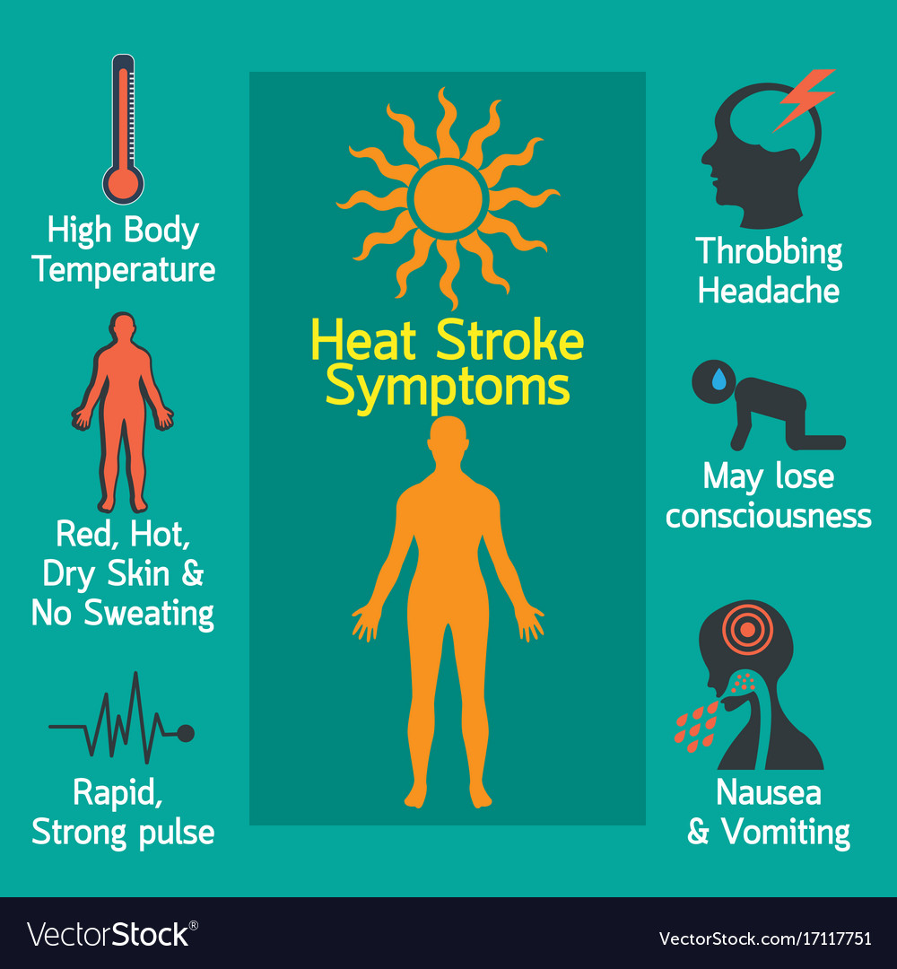 Heat Stroke Infographic Royalty Free Vector Image
