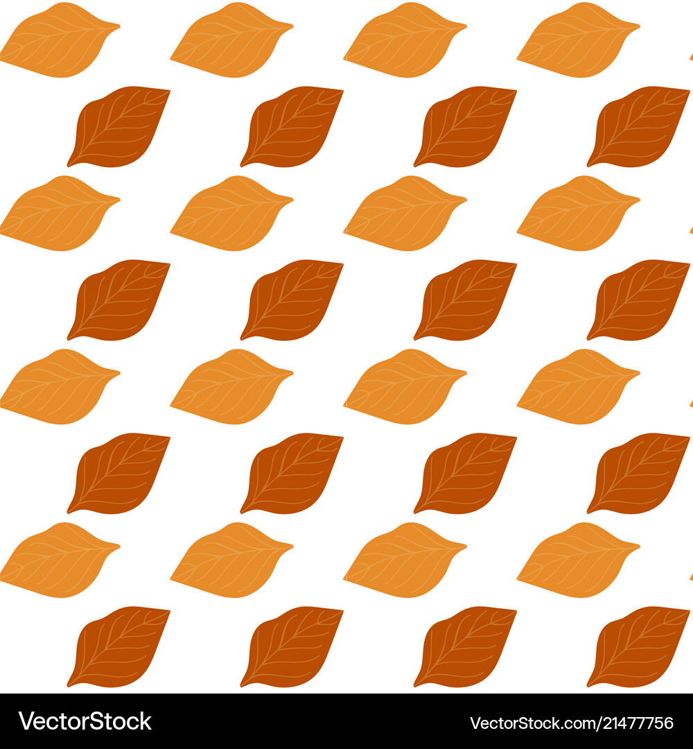 Abstract autumn leaves white background ima Vector Image