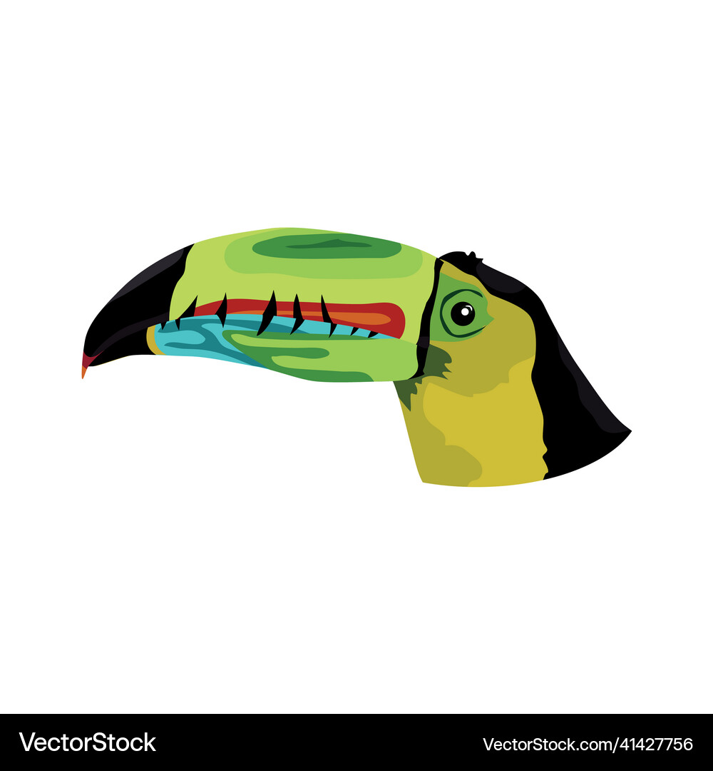 Head of a toucan bird Royalty Free Vector Image