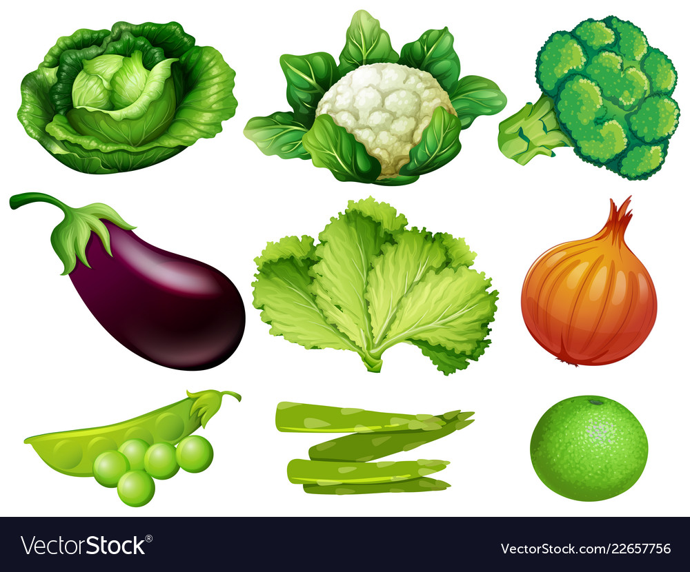 Set vegetables white background Royalty Free Vector Image