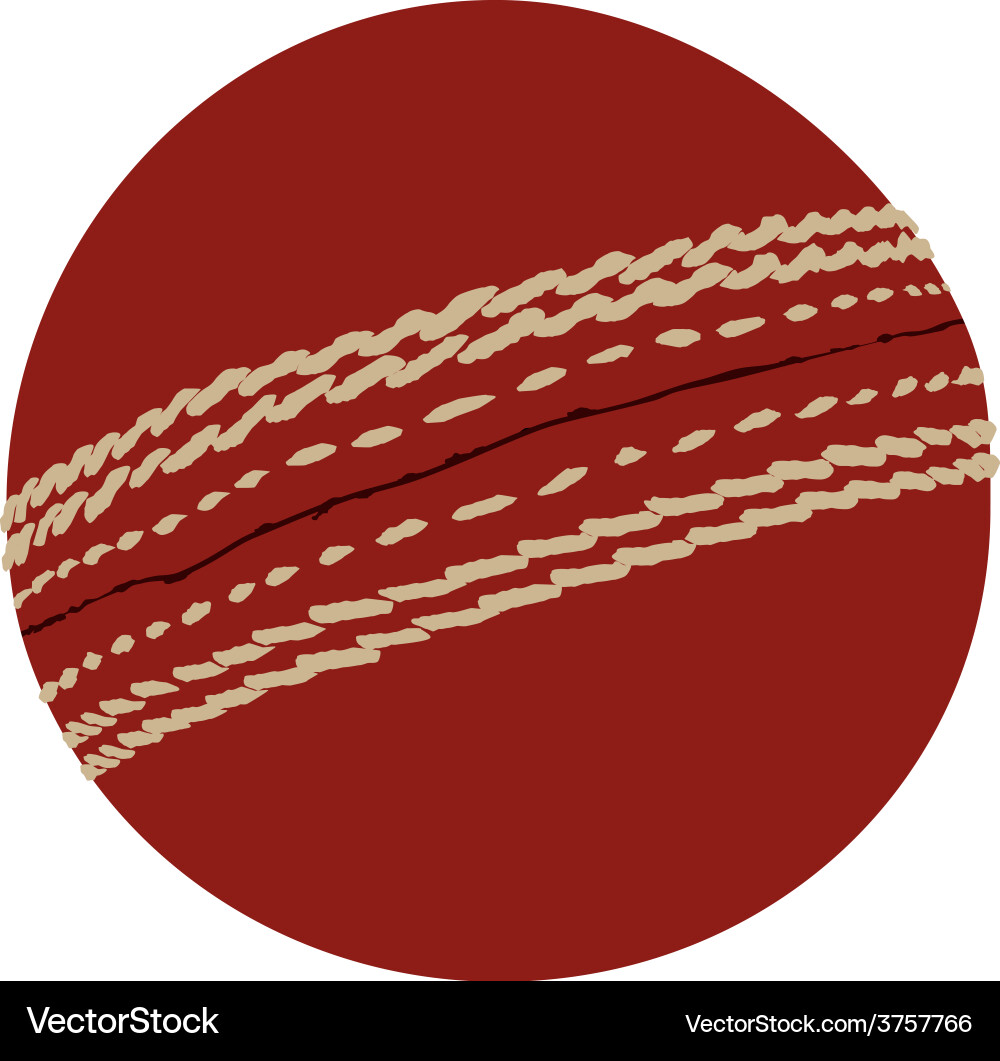 Cricket ball Royalty Free Vector Image - VectorStock