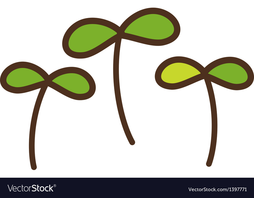 A sprout Royalty Free Vector Image - VectorStock