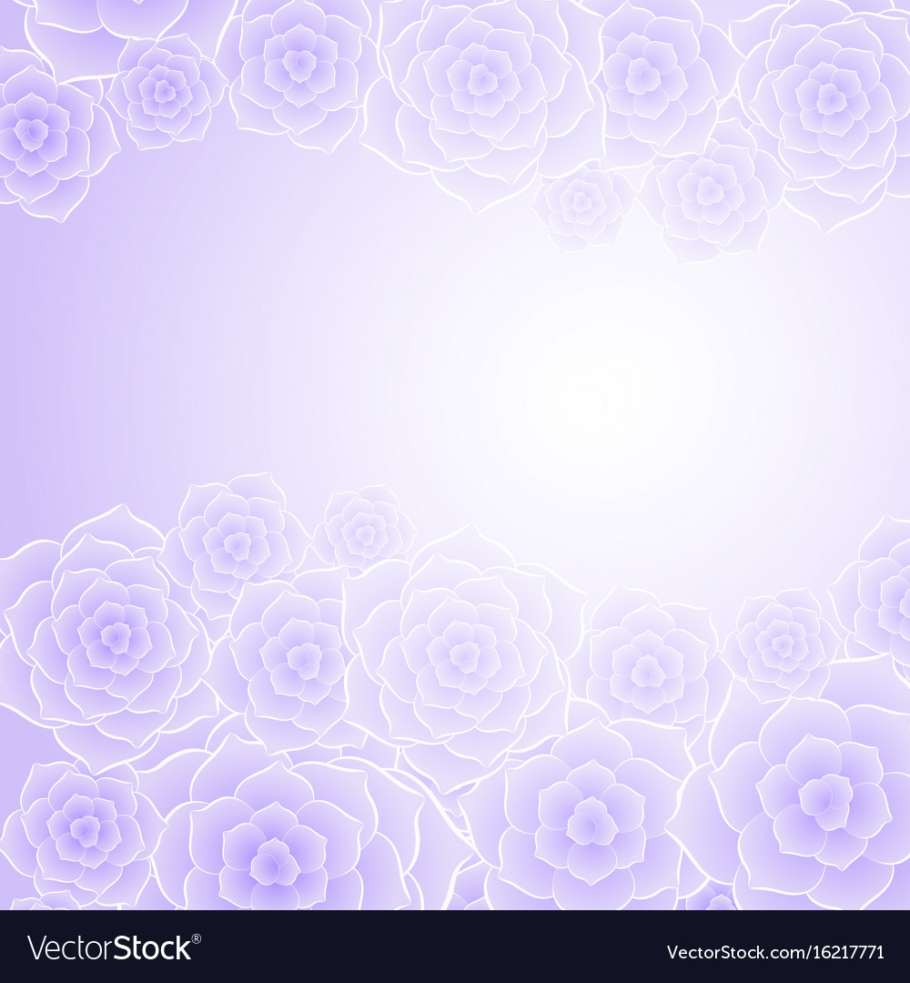 Beautiful purple rose flower background Royalty Free Vector