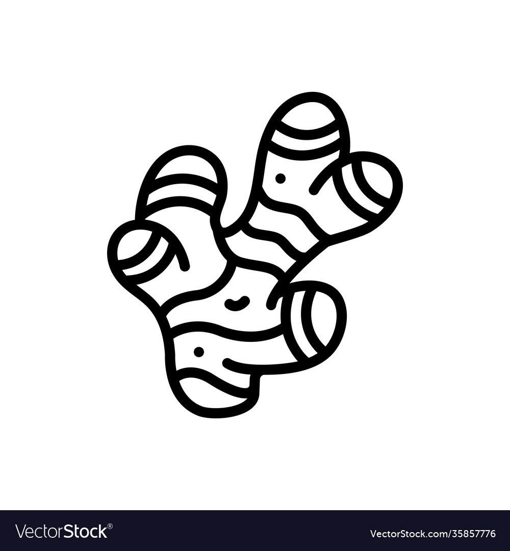 Ginger Royalty Free Vector Image - VectorStock
