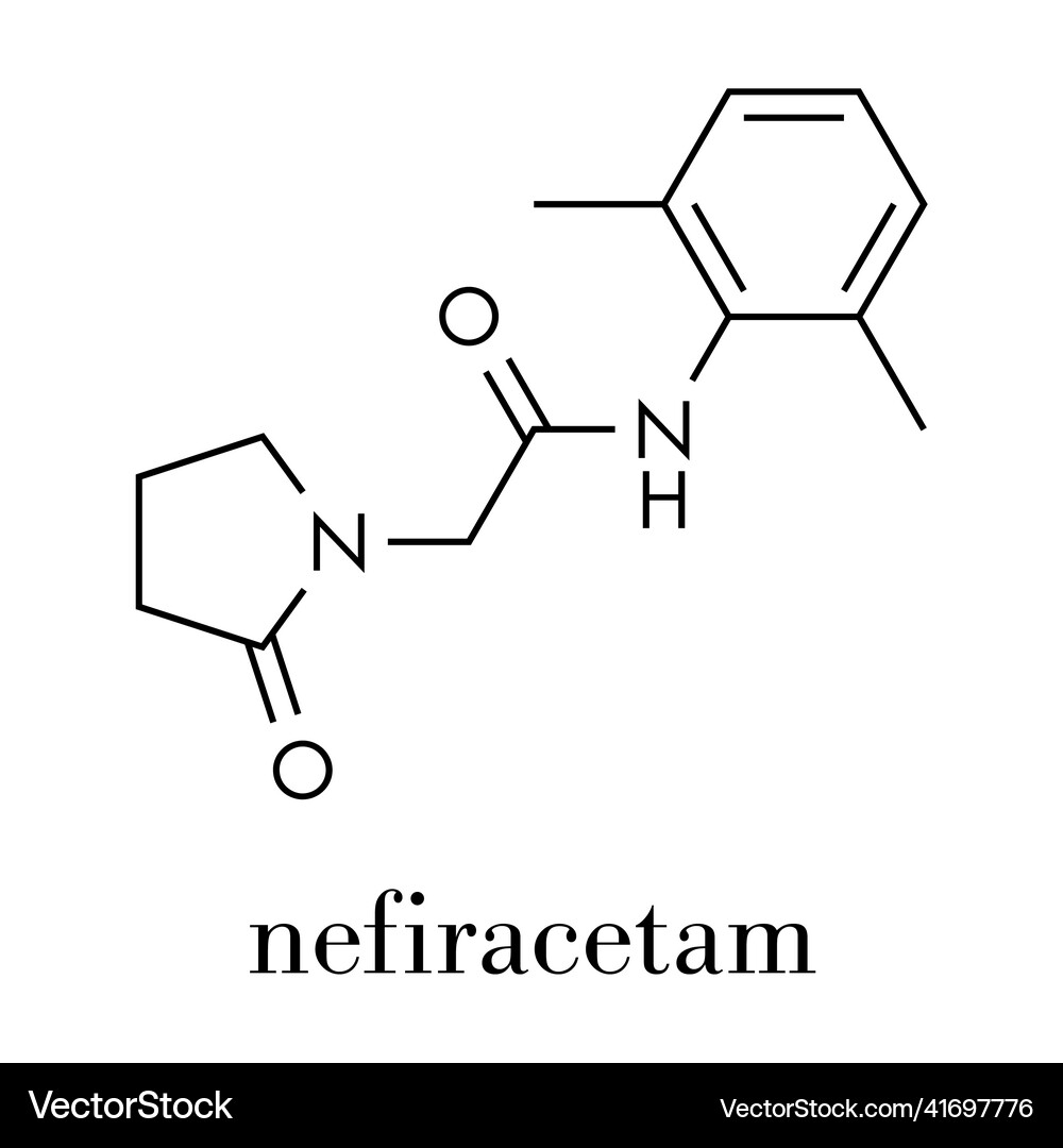 Nefiracetam nootropic drug molecule skeletal Vector Image