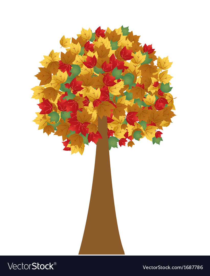 Tree in autumn Royalty Free Vector Image - VectorStock