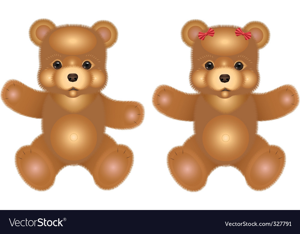 Two bears Royalty Free Vector Image - VectorStock