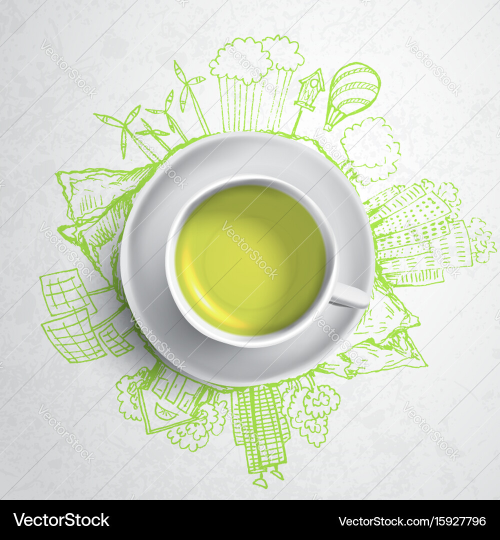 Green tea with circle ecology doodles sketched Vector Image