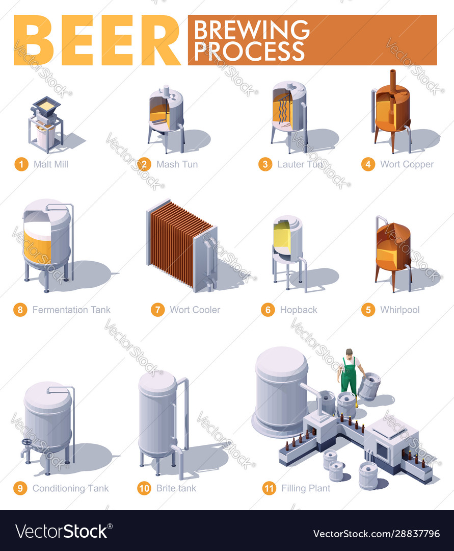 Isometric beer brewing process Royalty Free Vector Image