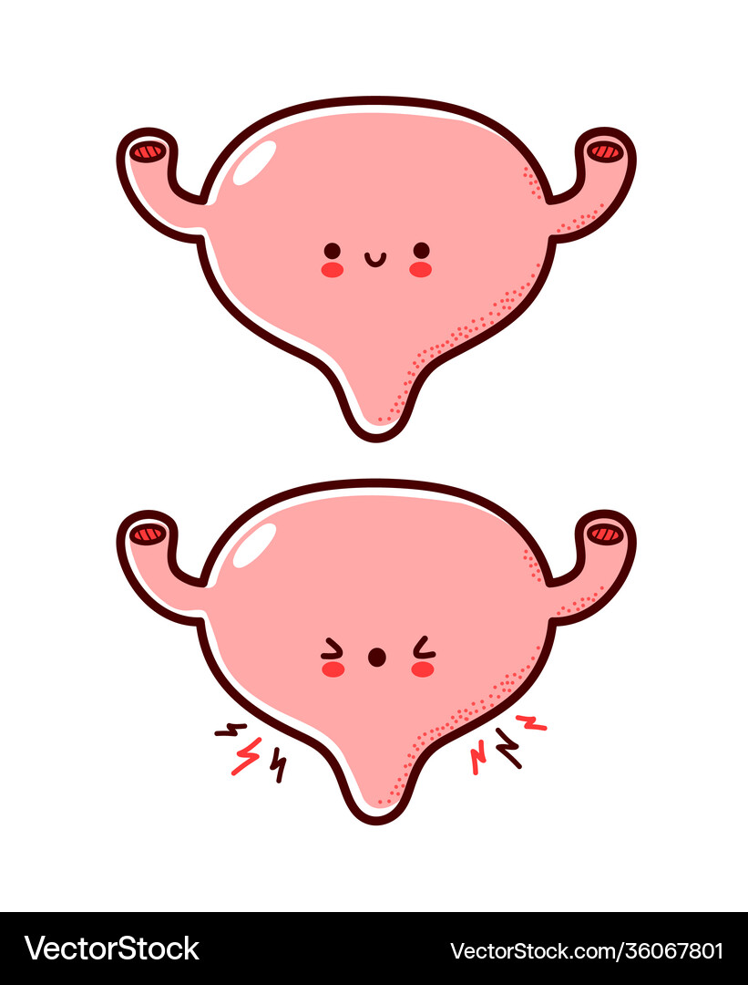 Cute healthy and sick sad funny human bladder Vector Image