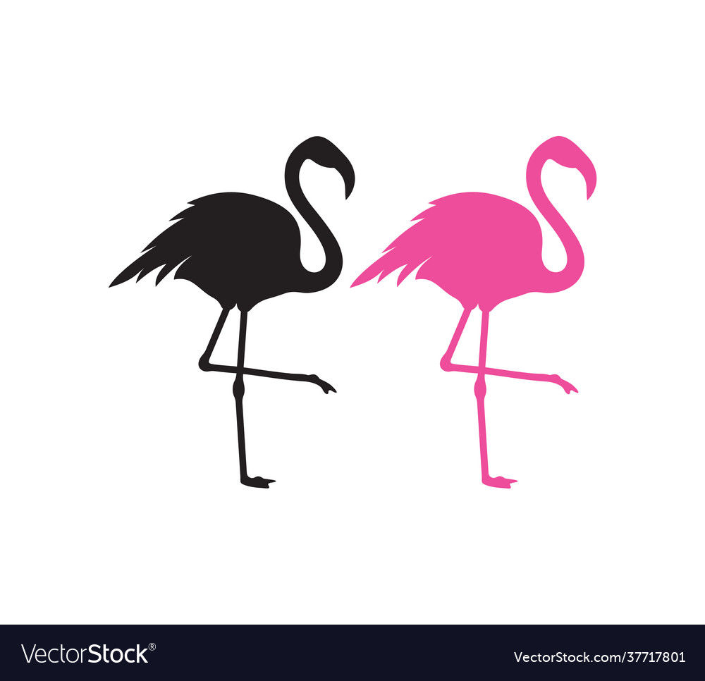 Flamingo Royalty Free Vector Image - VectorStock