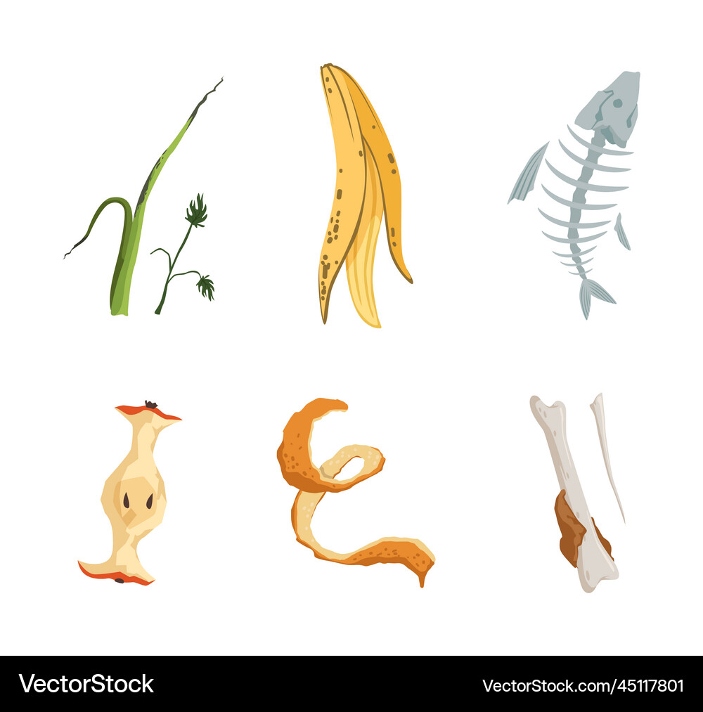 Garbage and waste with bones banana peel Vector Image