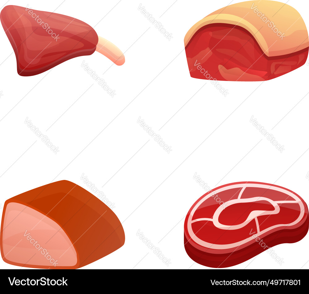 Meat food icons set cartoon various type Vector Image