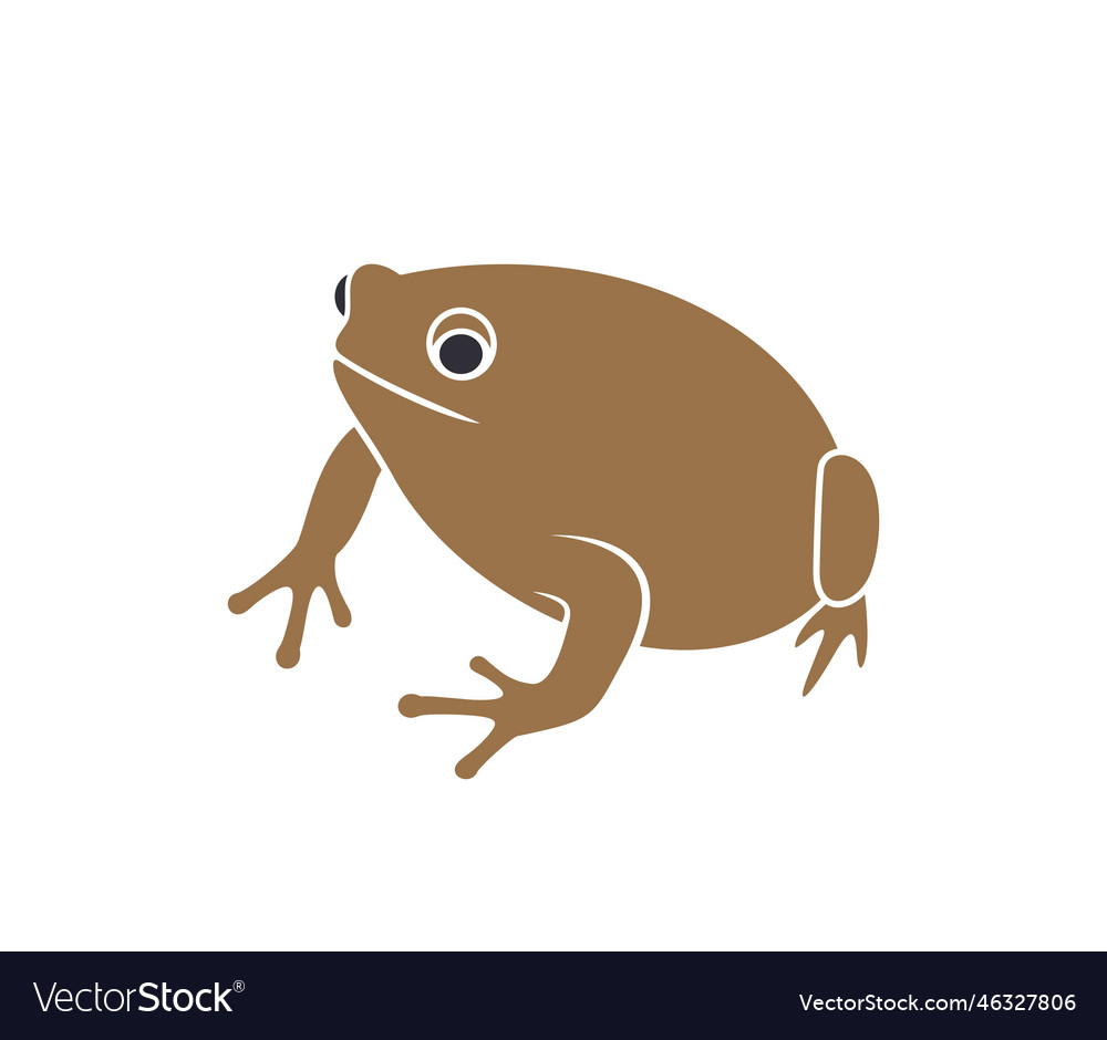 Ground toad Royalty Free Vector Image - VectorStock