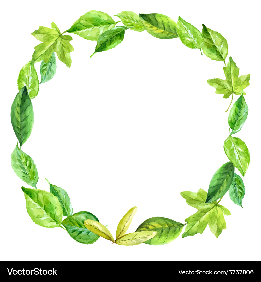 Round frame made various leaves in watercolor Vector Image