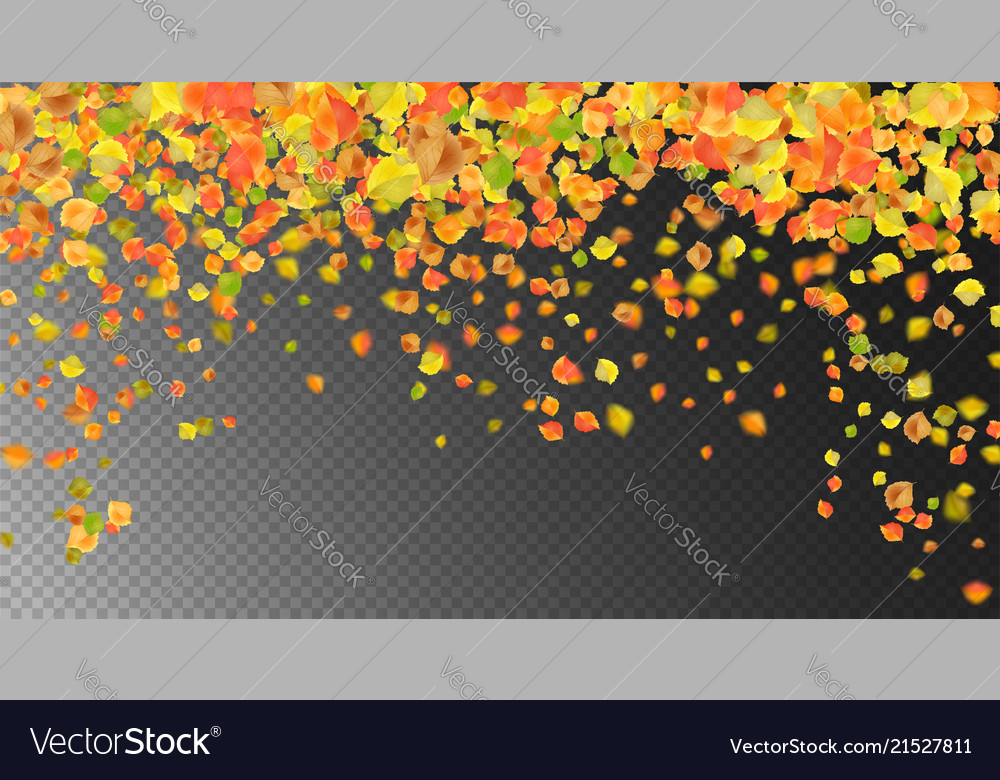 Autumn flying leaves Royalty Free Vector Image