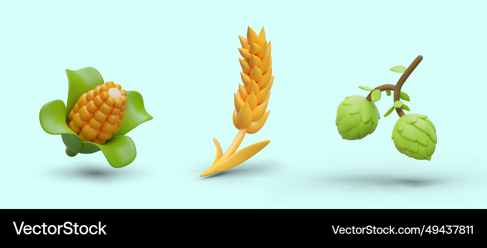 Collection with corn wheat and hop on blue Vector Image