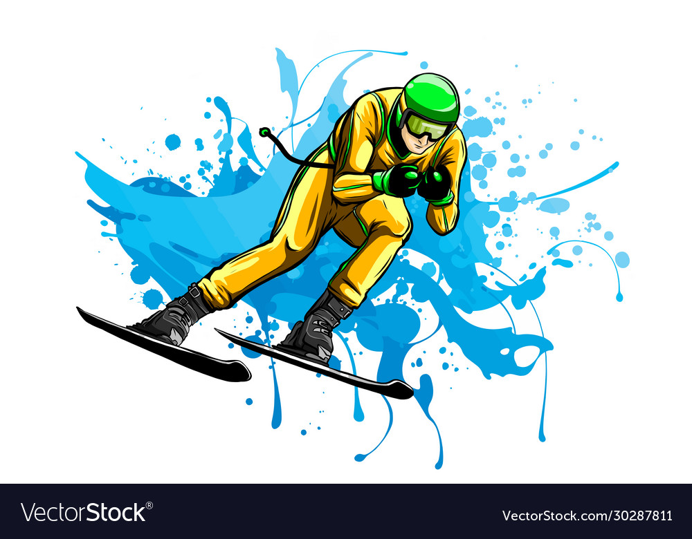 People skiing flat style design skis isolated Vector Image