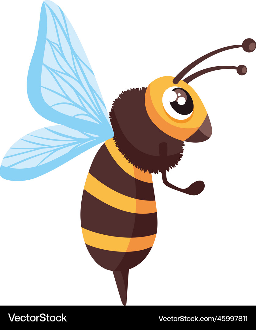 Wild bee insect animal Royalty Free Vector Image