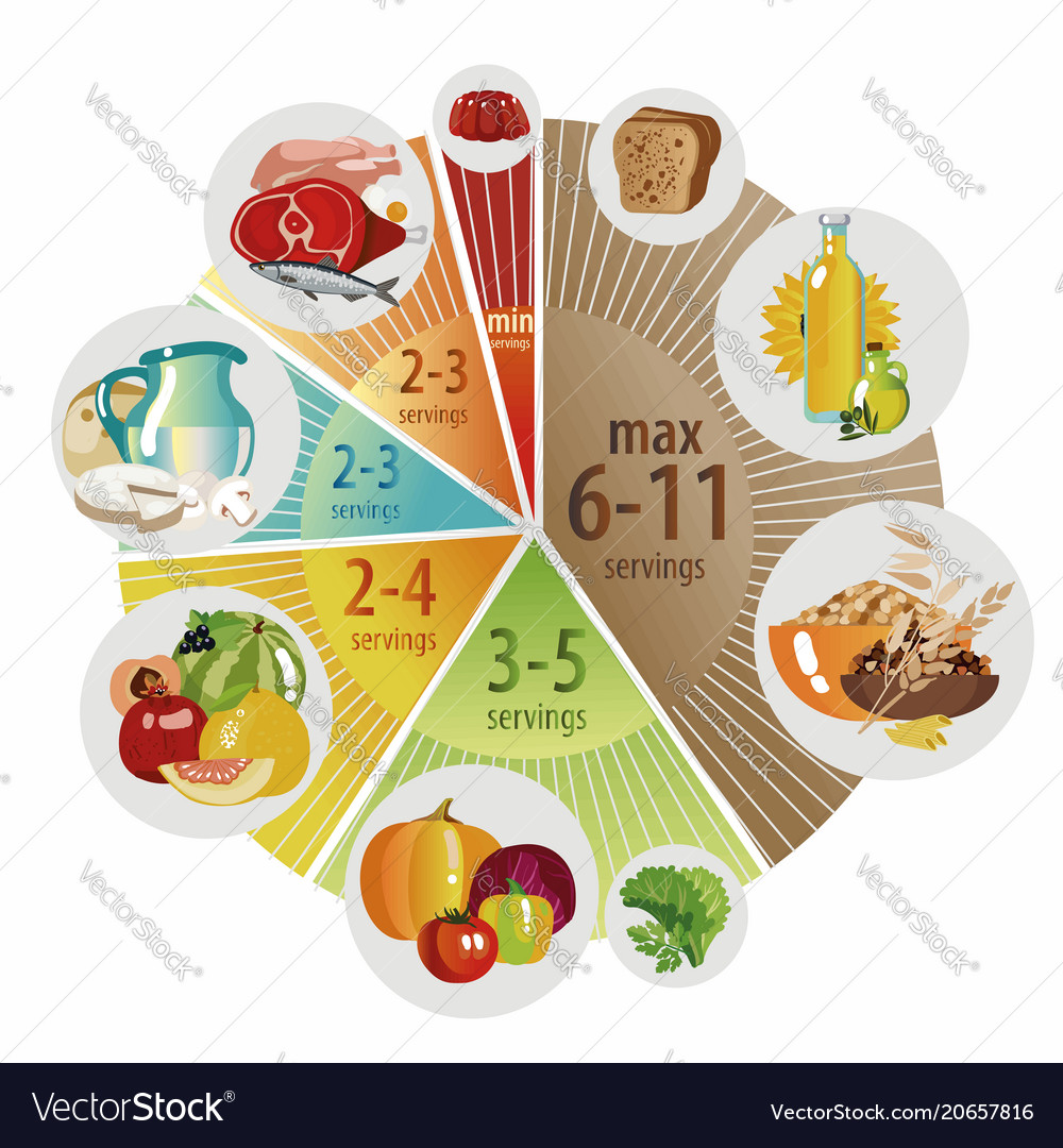 Food pyramid pie chart Royalty Free Vector Image