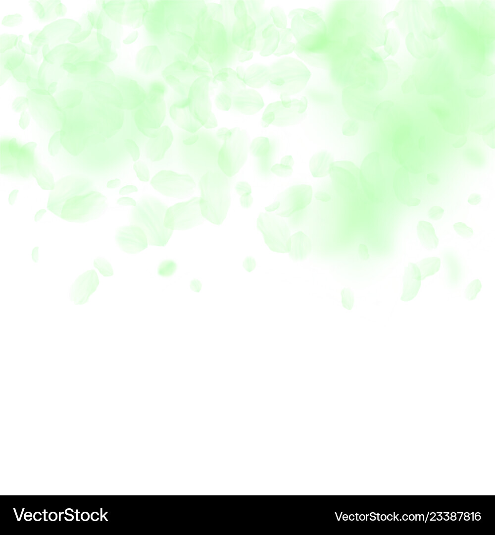 Green flower petals falling down surprising roman Vector Image