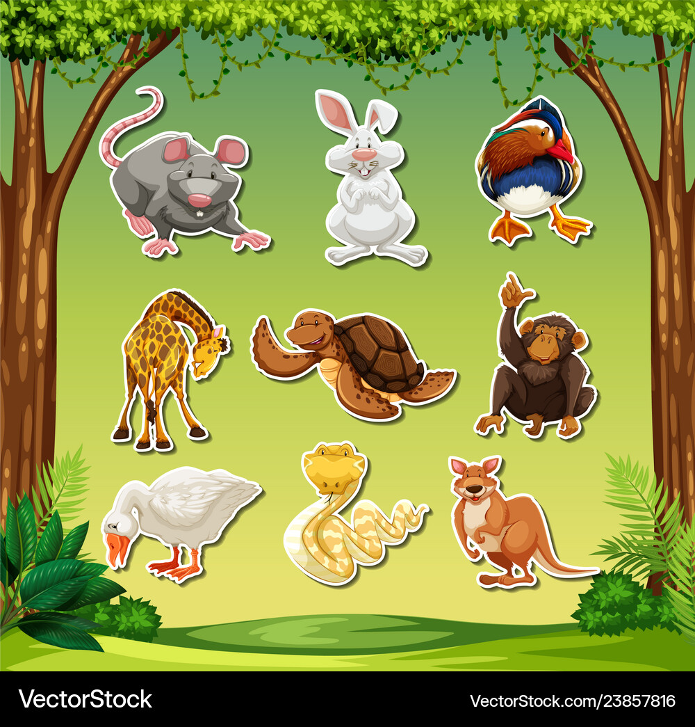 Set of animal sticker pack Royalty Free Vector Image