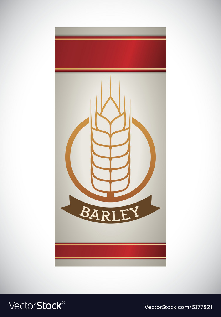 Barley design Royalty Free Vector Image - VectorStock