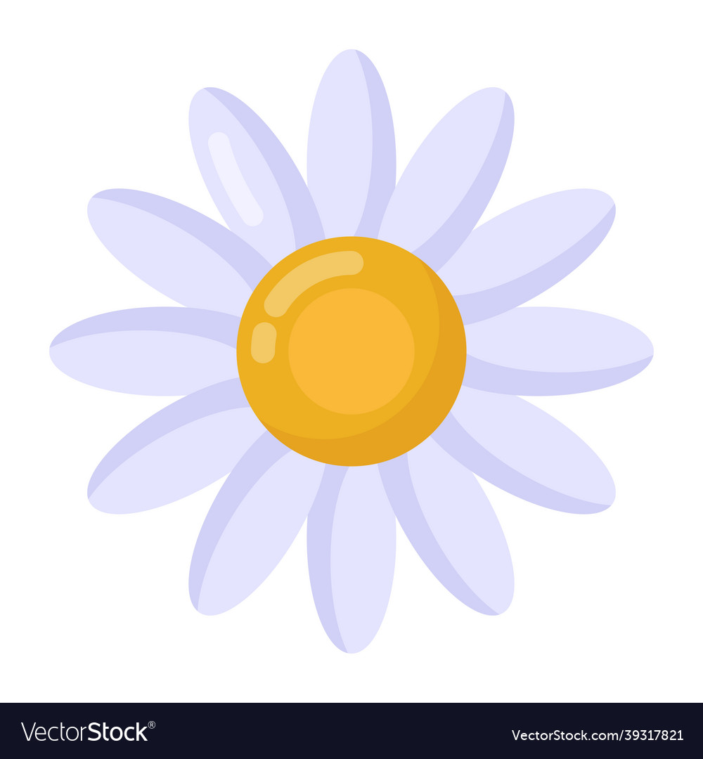 Daisy Royalty Free Vector Image - VectorStock
