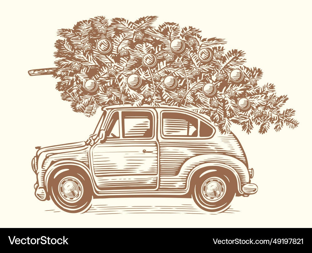 Driving retro car with fir tree decorated with Vector Image