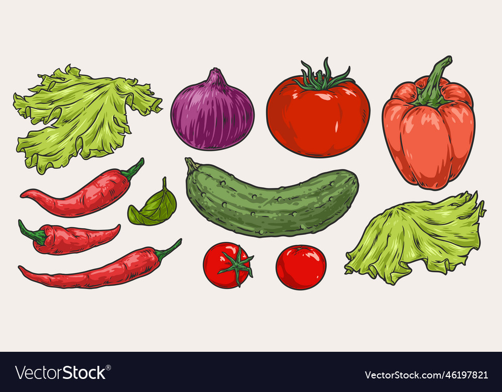 Fresh vegetables stickers set colorful Royalty Free Vector